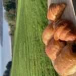 Nicholaston Farm Touring Caravan and Campsite | Camping in Gower